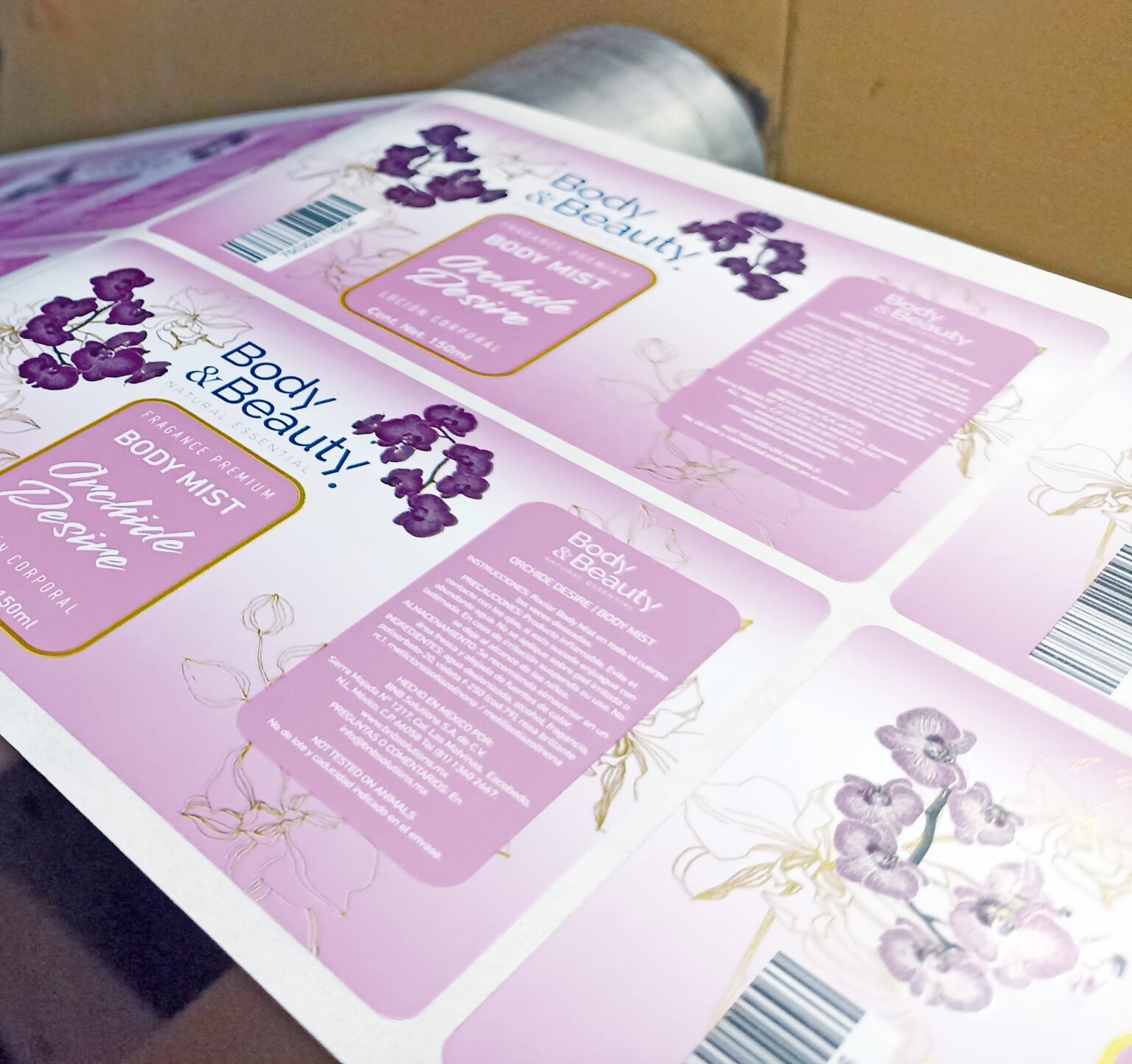 BNB SOLUTIONS – Comingraf